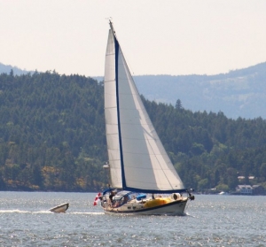 Sonsie (2010) - Vic-Maui Yacht Race